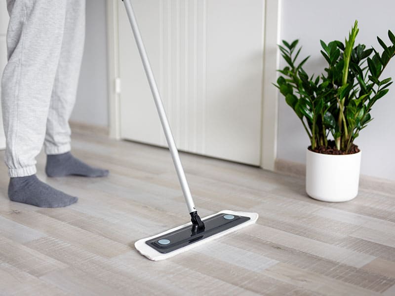 Top 15 Best Mops for Hardwood Floors To Buy - MtoClean