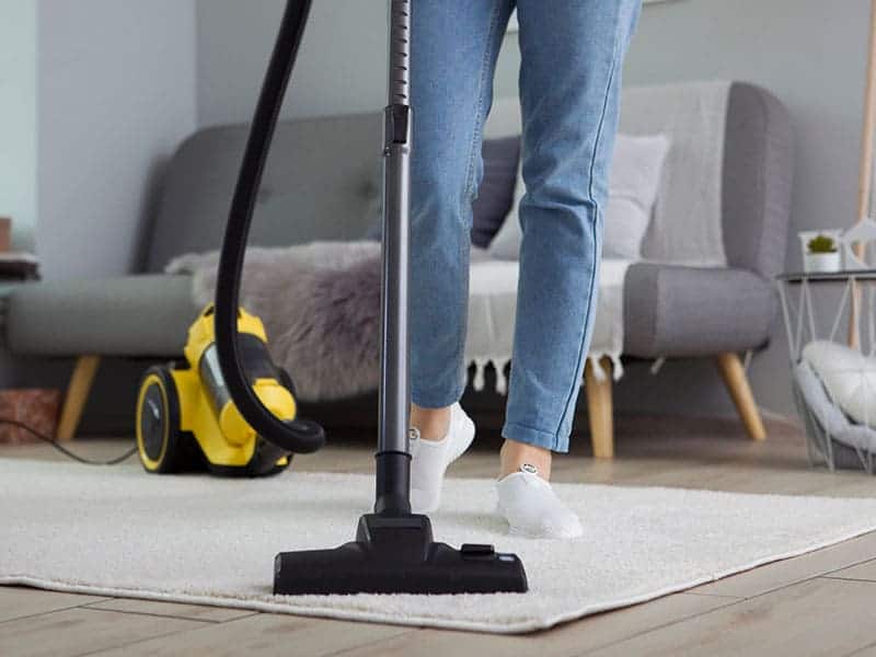 Top 15 Best Portable Spot Cleaners For Carpet Stains To Buy