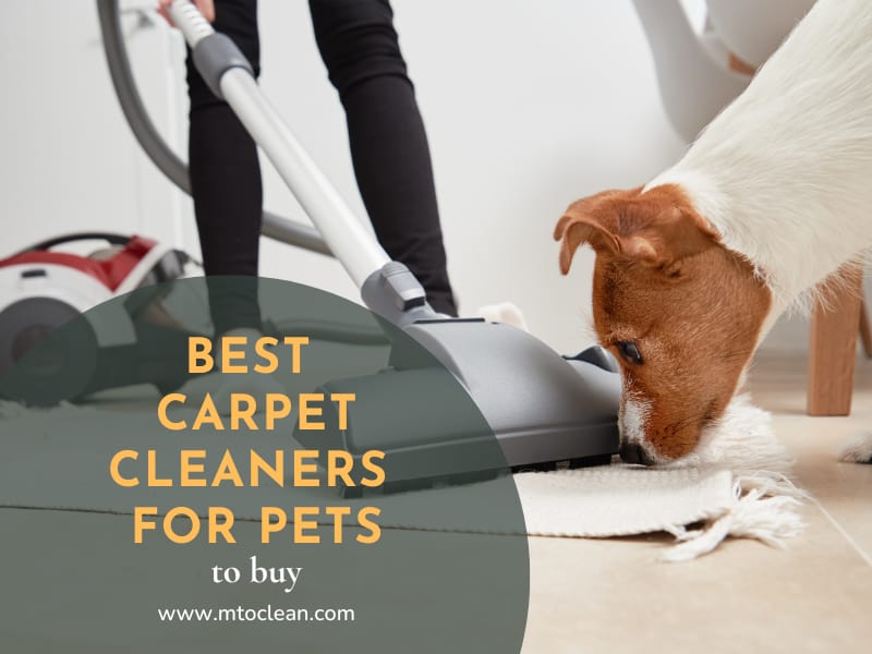 Top 15 Best Carpet Cleaners for Pets to Buy with Reviews