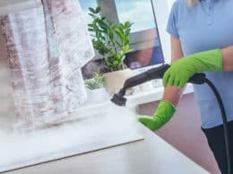 Top 15 Best Handheld Carpet Cleaners To Buy in 2023