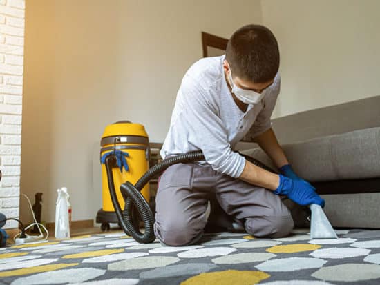 Top 15 Best Handheld Carpet Cleaners To Buy in 2023