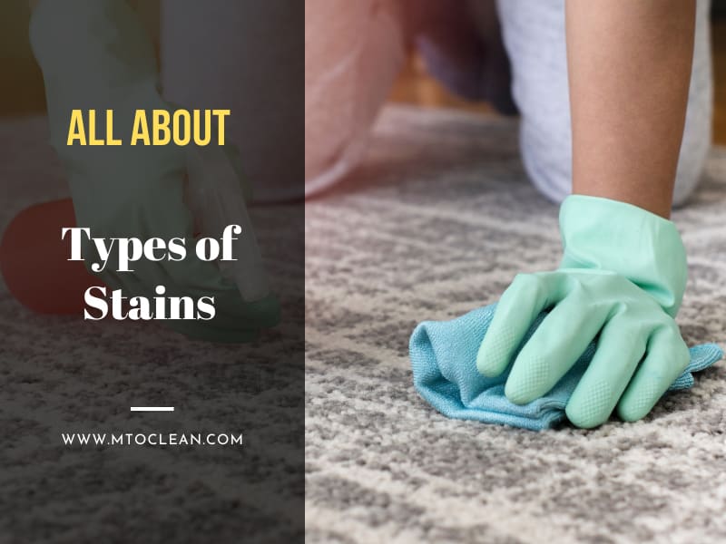 All About Types of Stains - Mtoclean